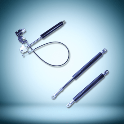 Home - Struts Africa